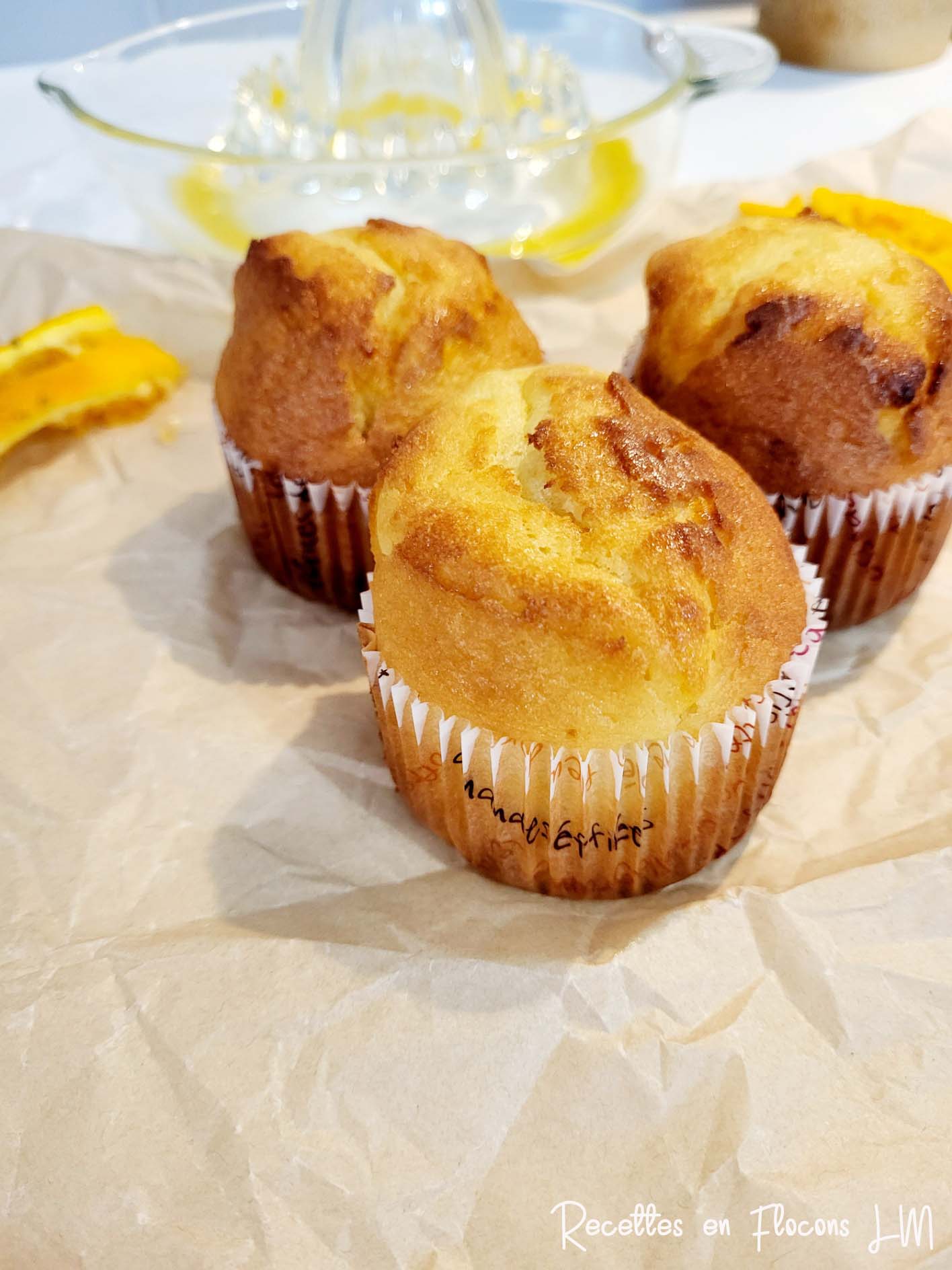 MUFFINS SOUS TOUTES SES SAVEURS - RECETTES EN FLOCONS